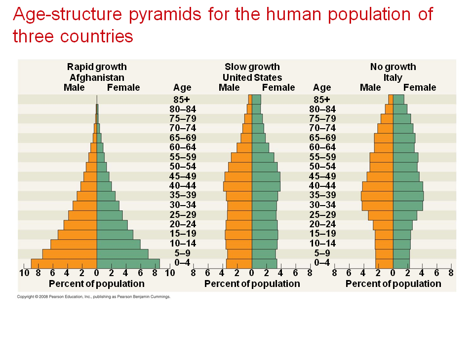 Zero Population Growth High Birth Rate High Death Rate Zero 