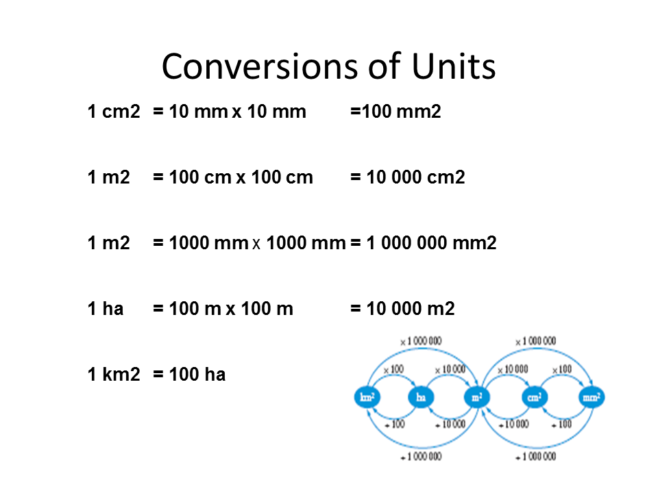 Volume Of A Cylinder Presentation Mathematics