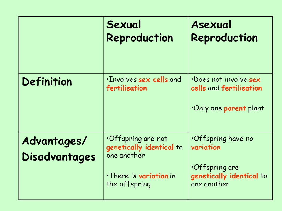 Biology Asexual Reproduction Riset