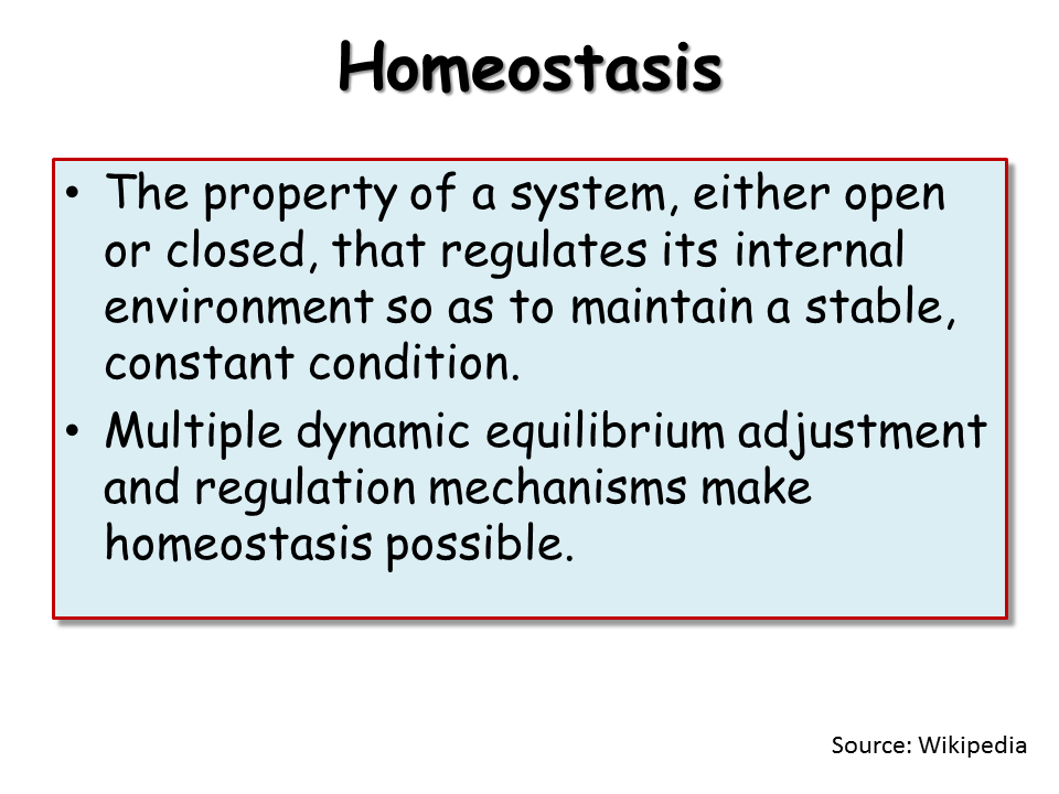 Homeostasis Presentation Biology