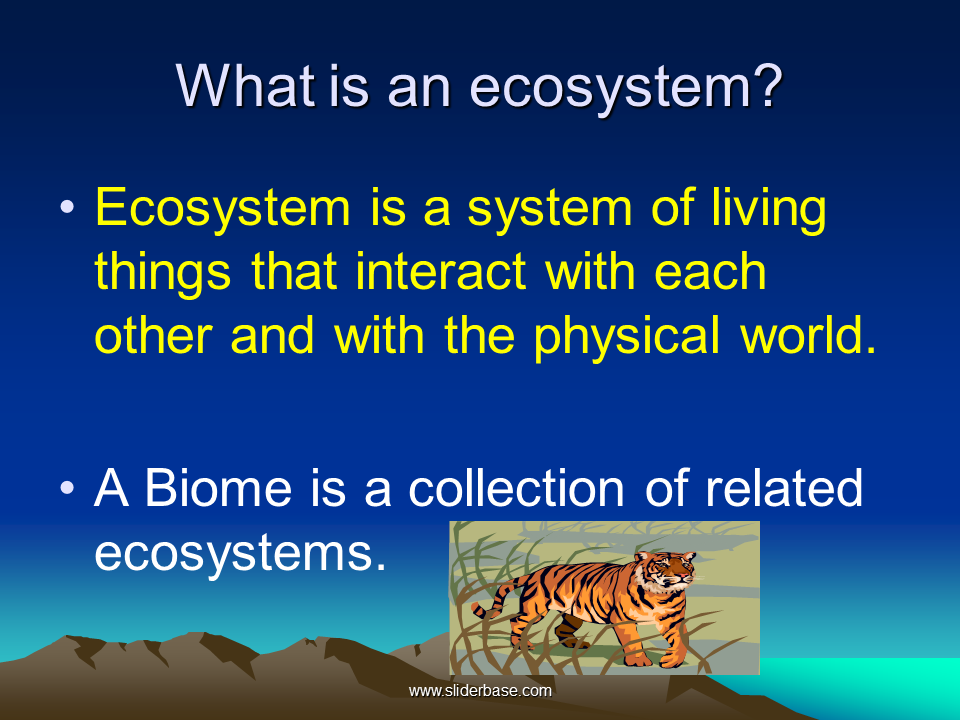 Ecosystems Presentation Ecology