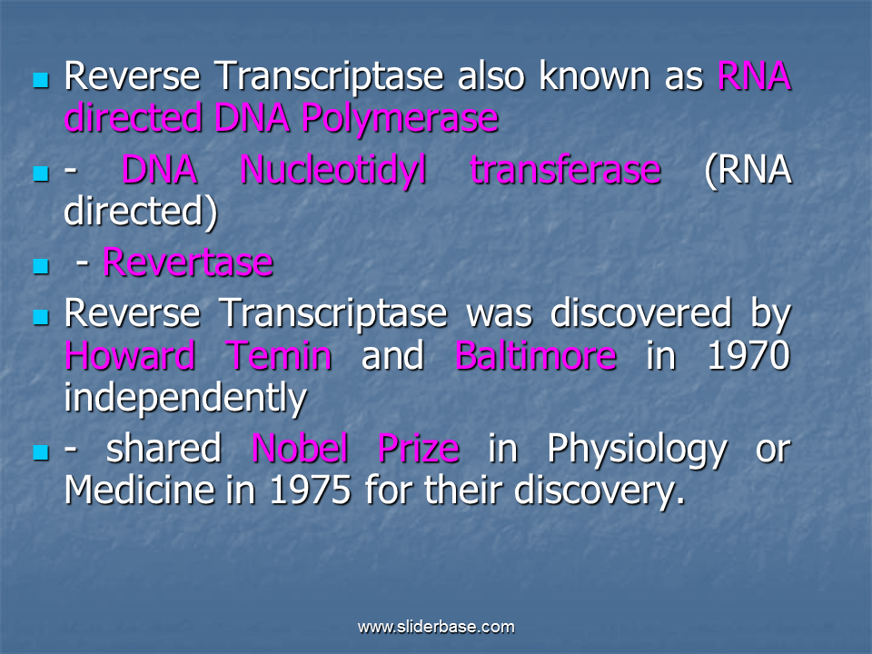 Can Reverse Transcriptase Use Dna As A Template