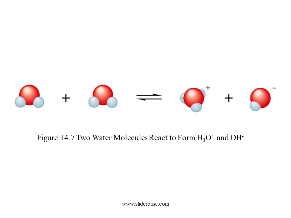 Water as an Acid and a Base