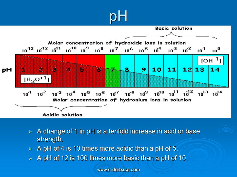 The ions that do not change are called 'spectator ions'. The ionic ...