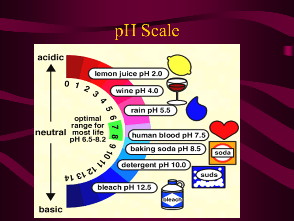 Digestion and pH