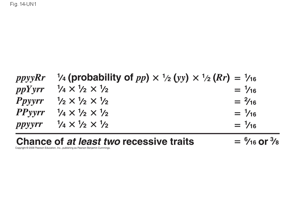 The Multiplication And Addition Rules Applied To Monohybrid Crosses