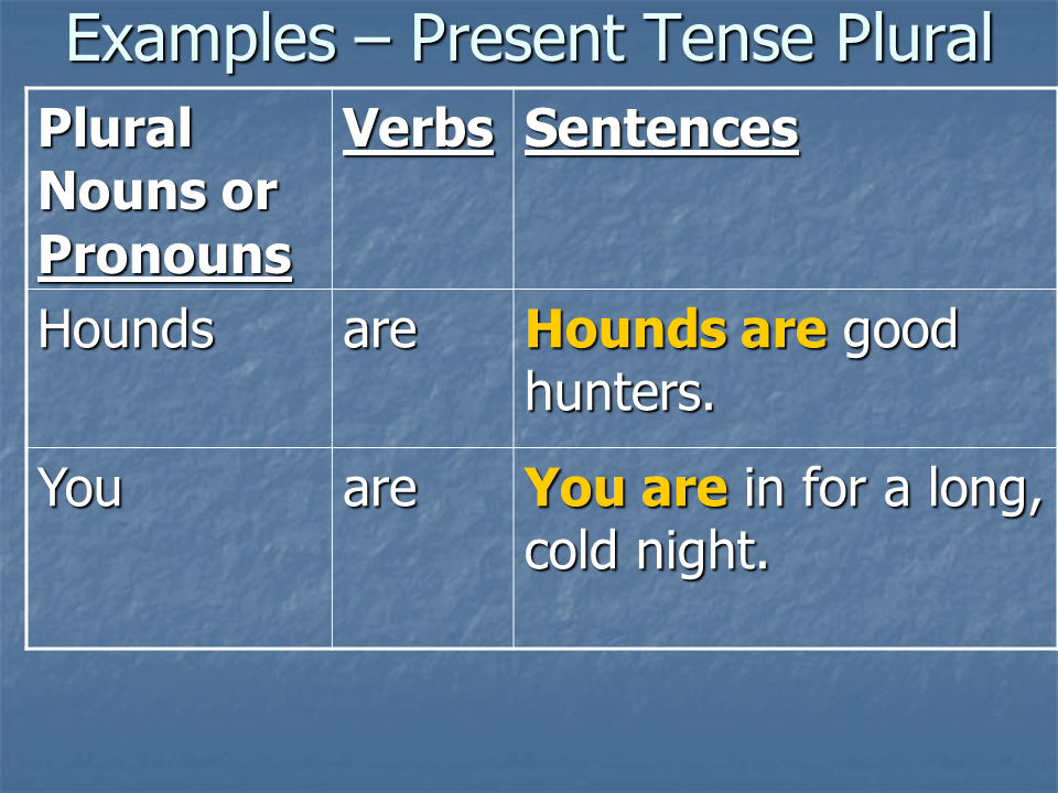 English Rules Lesson 6 Presentation English Language