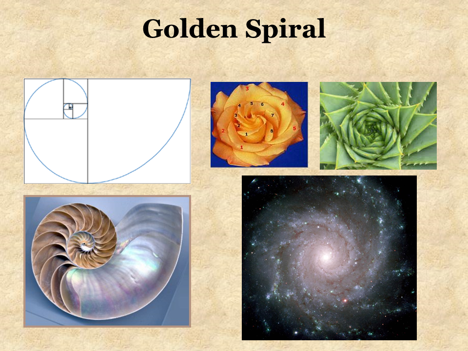 Golden Mean